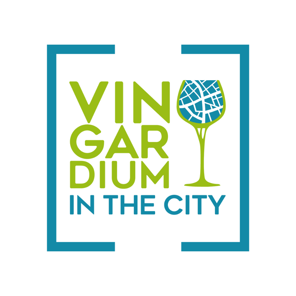 Cooltix - Vingardium In the city